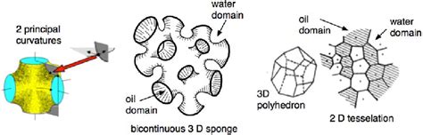 Bicontinuous Shapes Percolated Like And More Or Less Merged Micelles Download Scientific