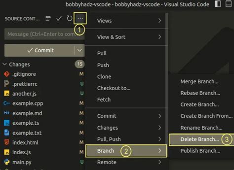 How To Easily Delete Git Branches In Visual Studio Code Bobbyhadz
