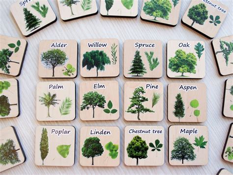 Wooden Memory Game Nature Trees Matching Cards Wood Etsy
