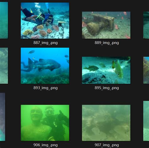 Uieb Dataset Raw Kaggle