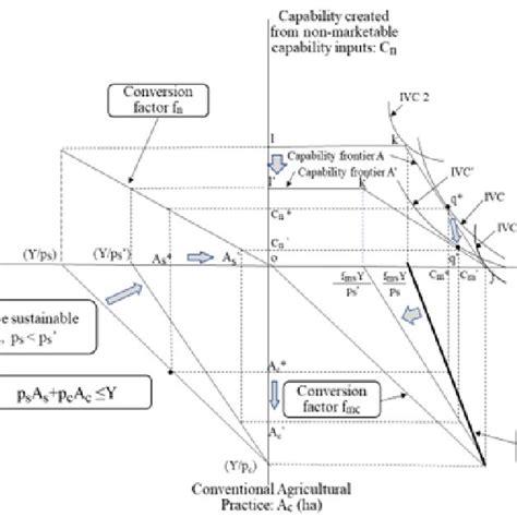 Maximisation Of Capability Value Under The Resource Constraint And A