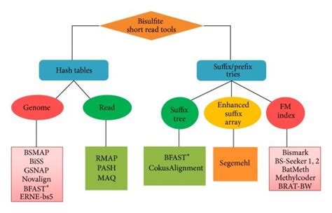 Bisulfite Mapping Tools Classification The Tools Can Be Divided Into
