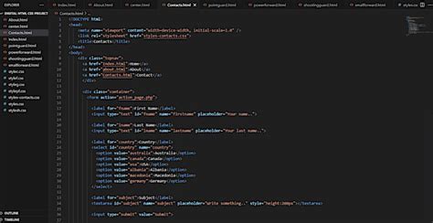 Find And Fix Your Bugs In Html Css By Erionr Fiverr