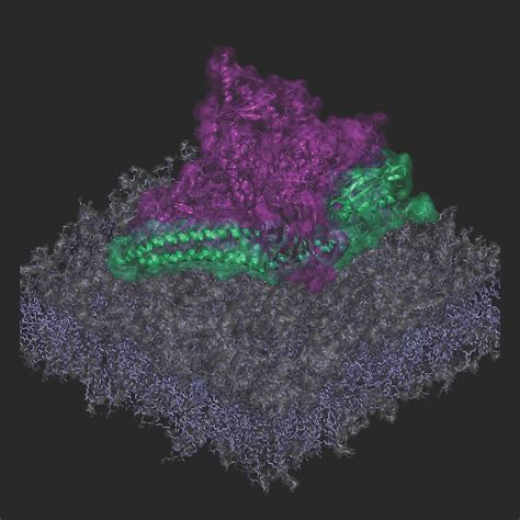How Protein Mutations Lead To Cancer Prace