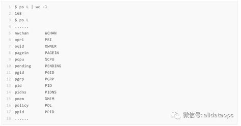 值得收藏 史上最全linux Ps命令详解 阿里云开发者社区 值得收藏 史上最全linux Ps命令详解 阿里云开发者社区