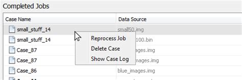 Autopsy User Documentation Auto Ingest Administration