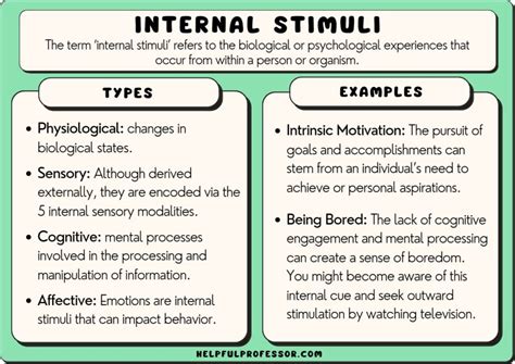 Internal Stimuli Examples And Definition 2026