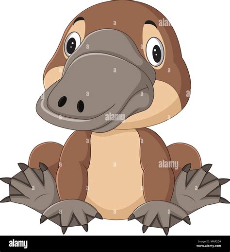 Platypus Cartoon