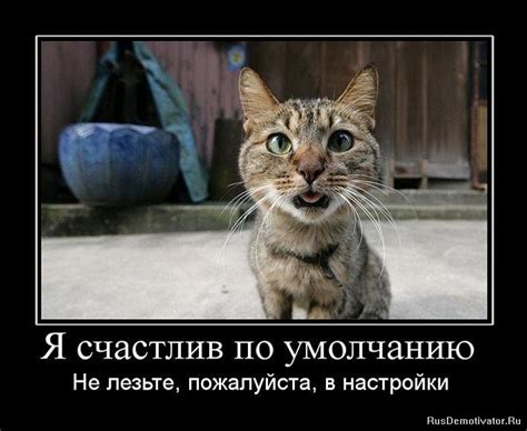 Я счастлив по умолчанию - Не лезьте, пожалуйста, в настройки ...