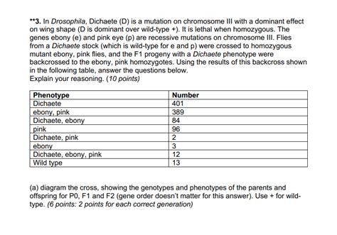 Solved 3 In Drosophila Dichaete D Is A Mutation On
