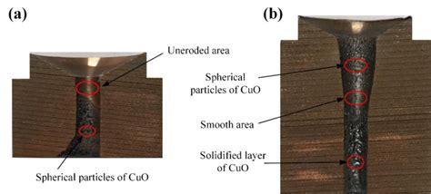 Surface Morphology Of Anode Shows The Surface Morphology Of The Anode