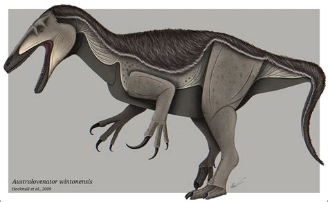 Rt Wachirawit96111 The Southern Hunter Paleoart Australovenator