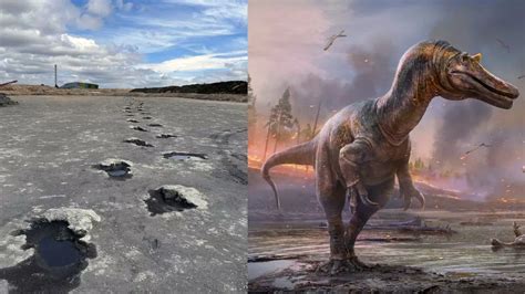 Largest Dinosaur Trackway Unearthed Major Discovery Reveal Dynamic