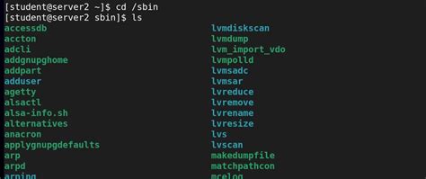 understanding linux file hierarchy — a beginner friendly guide with use cases dev community