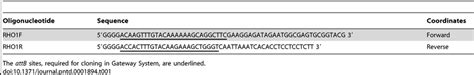 oligonucleotides design to amplify the cdna clone coding smrho sequence