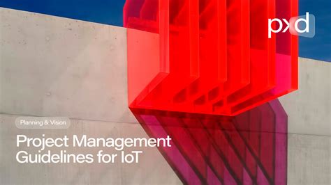 Project Management Guidelines For Iot Planning And Vision