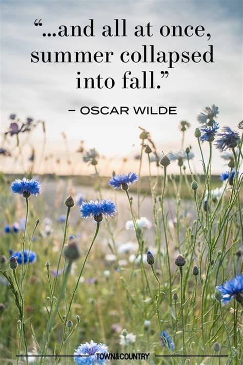 Summer Withdrawal Quotes