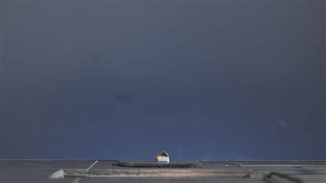 Thermal Decomposition Chemical Experience Of Mercury Thiocyanate Chemical Process Chemical