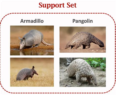 一文弄懂零样本和少样本学习 知乎