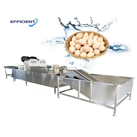 Automatic Egg Cleaner And Washer Machine Egg Washing Cleaning Machine