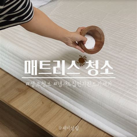 냄새 집먼지진드기 없애는 침대 매트리스 셀프 청소 방법 네이버 블로그