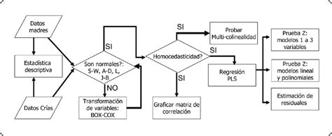 Diagrama De Flujo Con La Secuencia De Análisis Estadísticos Realizados
