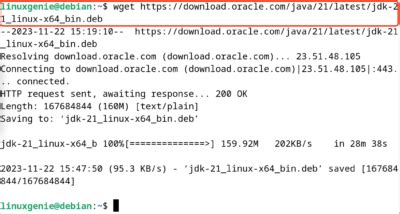 How To Install Java On Debian Linux Genie