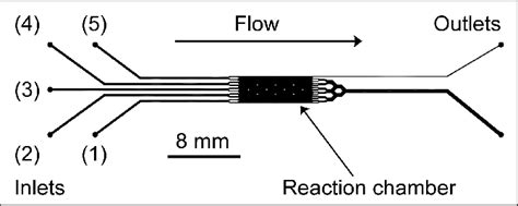 Schematic Of The Continuous Flow Reactor Design Featuring A Reaction Download Scientific