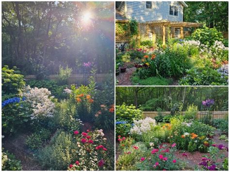 Foundation Plantings The Whys The Whats And The Hows