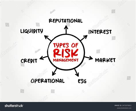 Types Risk Management Process Identifying Assessing Stock Vector