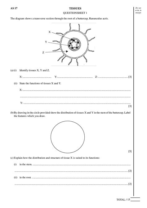 Tissues Questions A Level Curriculum Press