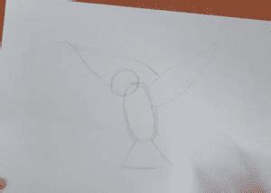 How To Draw An Easy Dove Step By Step Art By Ro