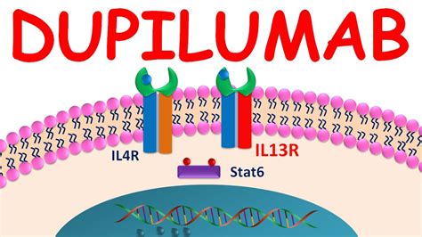 Dupixent Dupilumab Injection For Eczema Everything You Should Know