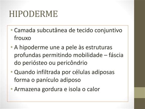 Ppt Sistema Tegumentar Powerpoint Presentation Free Download Id 5791854