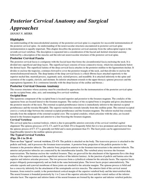 Posterior Cervical Anatomy And Surgical Approaches Pdf Vertebra