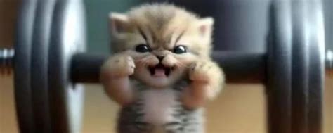 Di3dem ЗАКАЗЫ ОТКРЫТЫ ВСЕГДА с дд с ноября все остальное всегда закрыто тгк T Me