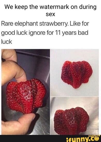 We Keep The Watermark On During Sex Rare Elephant Strawberry Like For