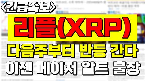 리플이 주춤하지만 다음주 급등 가능합니다 이번 주말 움직임이 굉장히 중요합니다 리플 리플전망 리플코인 리플코인전망