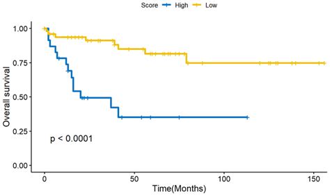 Log‐rank Test Of Survival Analysis Between High‐ And Low‐risk Groups In Download Scientific