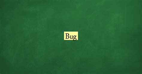 Bug Definition Meaning And Examples