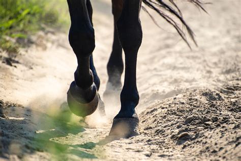 Os Ryttare Varnad Efter Rollkur På Träningspass Ridsport