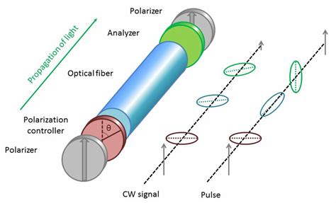 Automation Of Mode Locking In A Nonlinear Polarization Rotation Fiber Laser Through Output