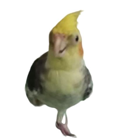 Sd Concepts Library Yellow Cockatiel Parrot · Hugging Face