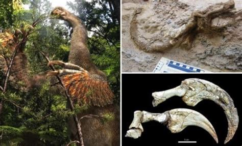 The Black Widow Neutron Star In Exotic Spider Pulsar System The Daily Galaxy