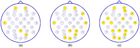 Sensors Free Full Text Relieff Based Eeg Sensor Selection Methods