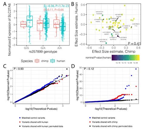 Figures And Data In Gene Expression Variability In Human And Chimpanzee Populations Share Common