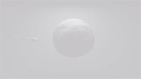 Human Sperm Egg Fertilization Animation 3d Model Animated Rigged Cgtrader