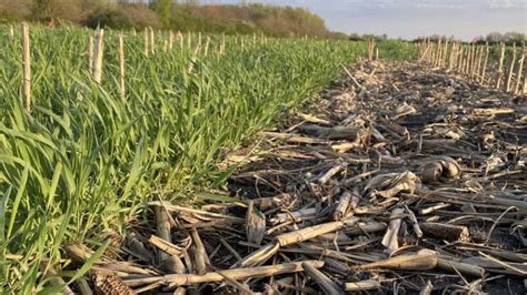 Dph Biologicals University Of Illinois Team Up To Improve Crop Residue Management Croplife