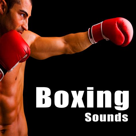 ‎boxing Sound Effects Album By Sound Ideas Apple Music