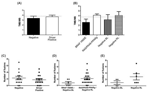 Tumor Mutation Burden Analysis A Bar Plot Representing The Tmbmb